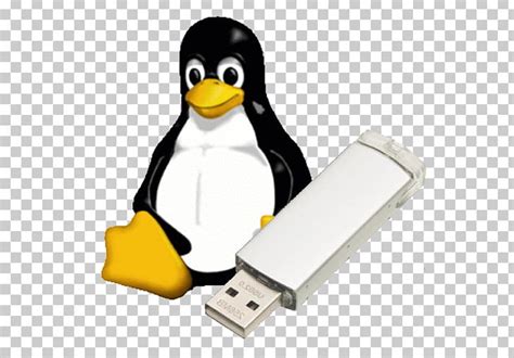 Linux User Group Linux User Group Linux Distribution Linux Kernel Png Clipart Beak Bird