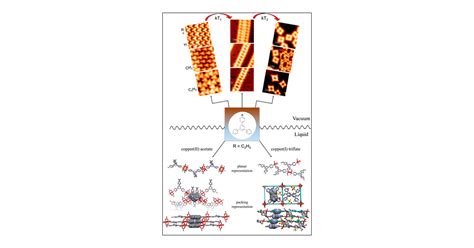 The Different Faces Of 4′ Pyrimidinyl Functionalized 4 2′ 6′ 4