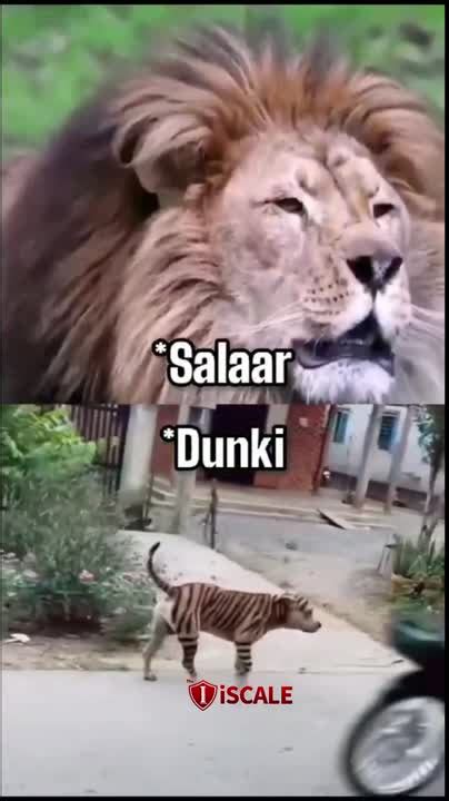 Video The Iscale On Linkedin Pythonlists Pythontuples