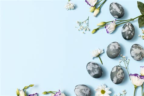 파란색 배경과 복사 공간에 파스텔 부활절 달걀과 야생화가 추상적 인 최소 봄 카드 0명에 대한 스톡 사진 및 기타 이미지 0명 4월 개념 Istock
