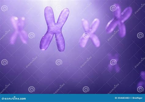 Chromatin Structure And Energy In X Chromosome Concept Stock