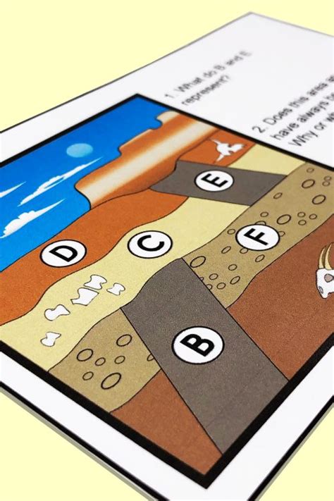 Fossil Record Task Cards