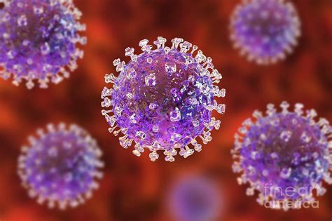 Nipah Virus Outbreak In India What You Need To Know