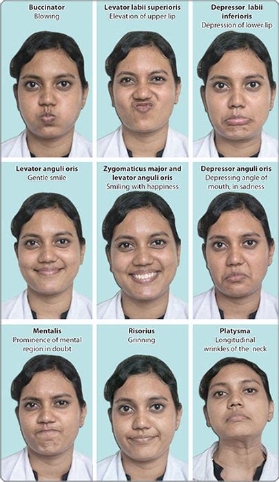 Depressor Anguli Oris Action