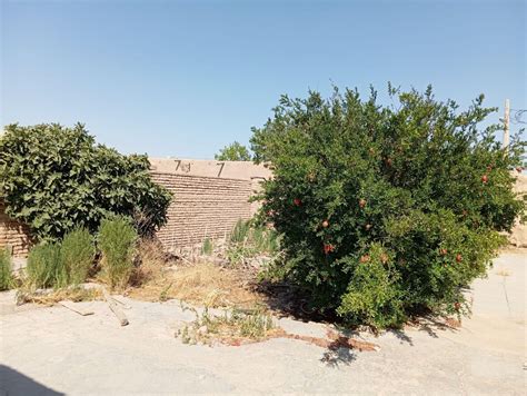 فروش خانه‌ی قدیمی با گاوداری20راسی در روستای سخص آباد در قزوین ۲۲