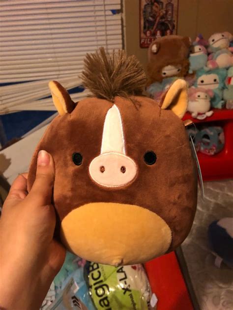 Pin Av Des Key På Squishmallow Collection