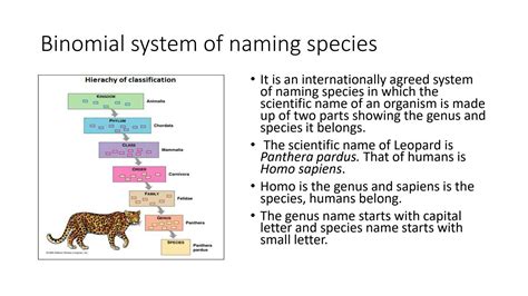 solution igcse lesson notes and tasks with mark scheme on concept and uses of classification