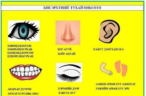 Хөөрхөн хүүхдүүдтэйгээ хамтран Оюунлаг жаалууд цэцэрлэг Facebook