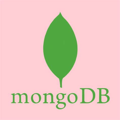 Cyrine Ahmad On Linkedin 100daysofcodechallenge Mongodb Bson Challenge Coding