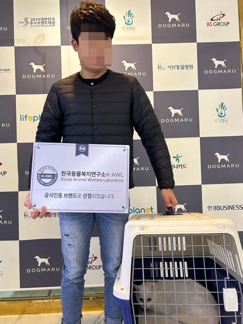 코리안숏헤어 나비 애완견성격 반려견성격 소형견크기 중형견크기 미니비숑프리제크기 토이푸들크기 골든리트리버크기 래브라도리트리버크기 닥스훈트크기 도베르만크기 말티치크기 말티폼크기