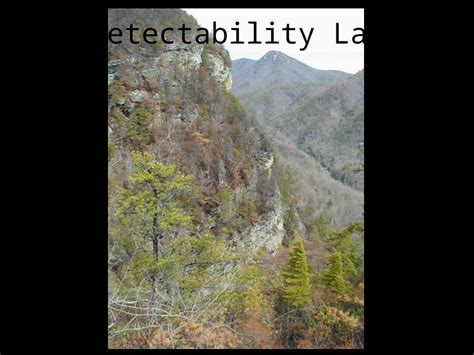 Ppt Detectability Lab Outline I Brief Discussion Of Modeling