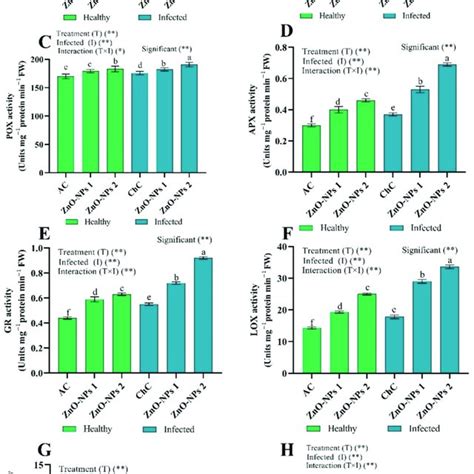 A H Effect Of Foliar Spray By Zno Nps1 50 Mg L And Zno Nps 100 Download Scientific Diagram