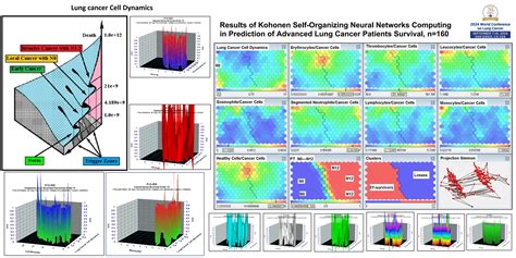 Local Advanced Lung Cancer Artificial Intelligence Synergetics