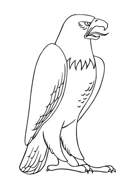 Laukiniai Gyvūnai Spalvinimui 🐒 Pepe Lt