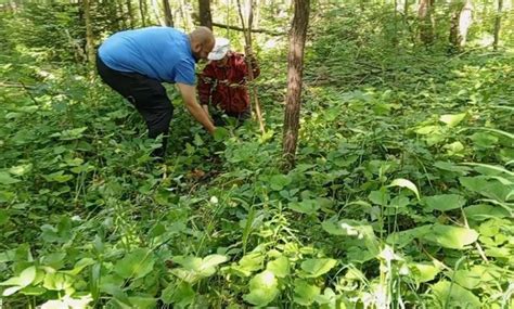 ПРЕ КРАСНЫЕ БАКИ Пре Красные Баки это новости события и культура из лучшего посёлка на