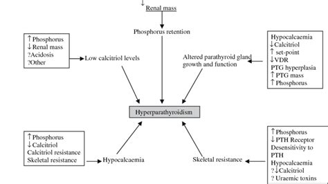 Factors Involved In The Pathogenesis Of Secondary Hyperparathyroidism Download Scientific