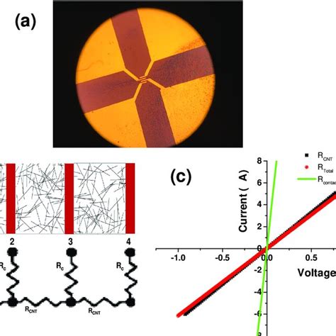 Schematic Illustration Of The Meniscus Dragging Deposition Mdd Method Download Scientific