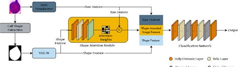 Shape Aware Fine Grained Classification Of Erythroid Cells Paper And Code