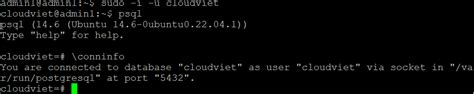 Cách Cài đặt Và Cấu Hình Postgresql Database Trên Ubuntu 2204
