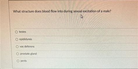Solved What Structure Does Blood Flow Into During Sexual