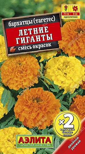 ЦВЕТЫ: БАРХАТЦЫ ВЫСОКИЕ (ПРЯМОСТОЯЧИЕ)