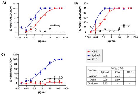 In Vitro And In Vivo Characterization Of A Broadly Neutralizing Anti Sars Cov 2 Antibody