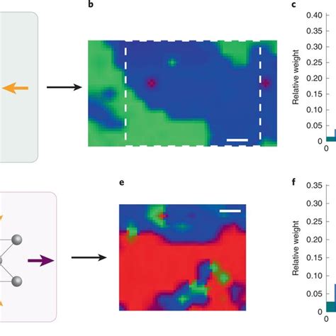 First Order Phase Transitions At Surface And Bulk A Heat Capacity Download Scientific Diagram