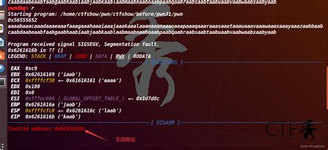 ctfshow pwn入门 前置基础pwn29 pwn31 位置无关可执行文件 position independent executable