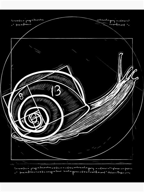 Vitruvian Snail Shell Fibonacci Slug Clothes T Snail Photographic