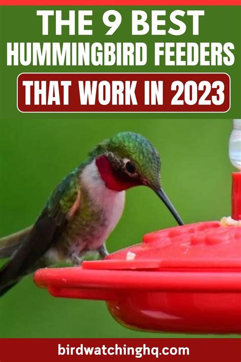 The 9 Best Hummingbird Feeders That Work In 2024