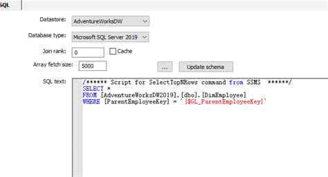 Solved How To Pass Global Variable To Sql In SAP Data Ser SAP Community