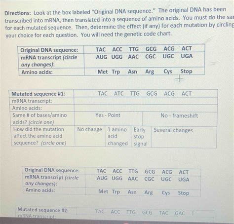 solved directions look at the box labeled “original dna sequence