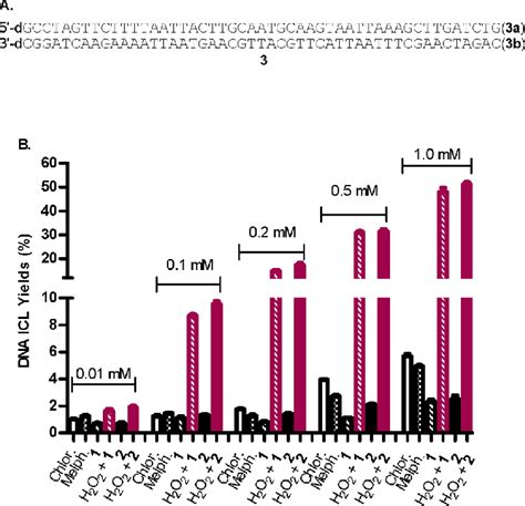 A Dna Sequence Duplex 3 Used For A Cross Linking Study B The