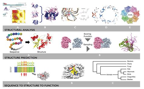 a community proposal to integrate structural bioinformatics activities