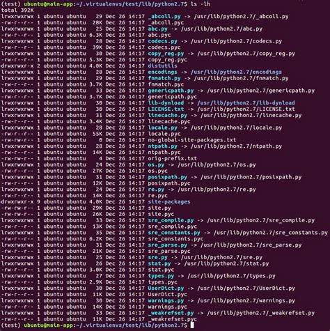 Diagnosing A Discrepancy In Virtualenv Behavior Across Similar Python