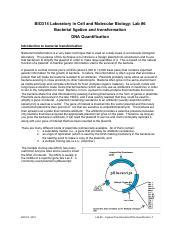 Lab 6 Protocol Pdf BIO314 Laboratory In Cell And Molecular Biology Lab 6 Bacterial Ligation