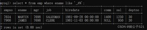 mysql速成教程笔记系列三 mysql like 下划线 csdn博客