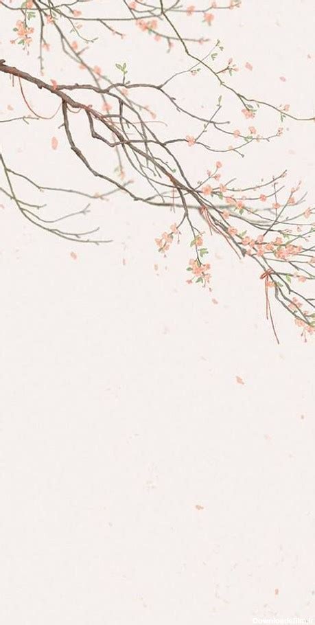 پس زمینه ورد عکس