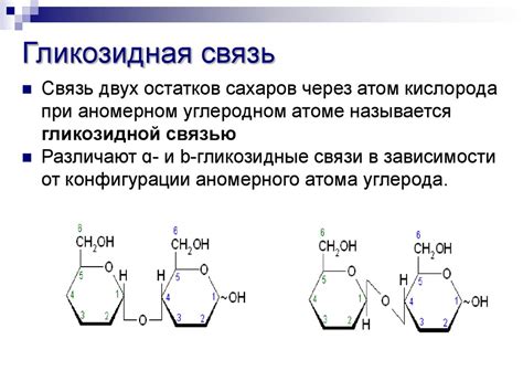 Олигосахариды и полисахариды - презентация онлайн