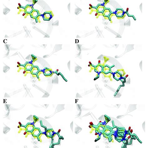 Binding Modes Of Docked Ligands To Dna Gyrase Structure Pdb Id 5btc