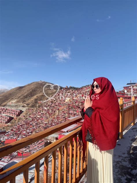 Alice Profile Nzladies Nz Ladies Nz Escorts Find New Zealand