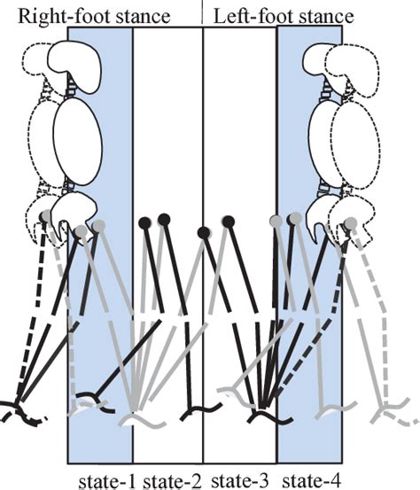 Figure 1 From Adaptive Gait Recognition Model And Automatic Velocity Robust Feature Selection
