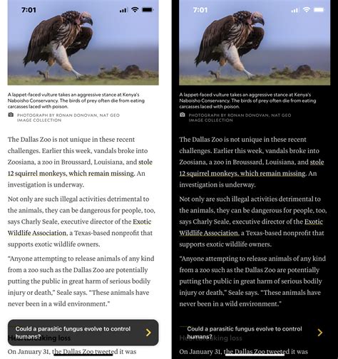 Dark Mode How Users Think About It And Issues To Avoid NN G