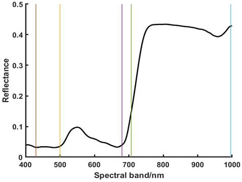 Research On Precise Fertilization Method Of Rice Tillering Stage Based