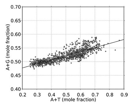 Blogorrhea Shedding Light On Dna Strand Asymmetry
