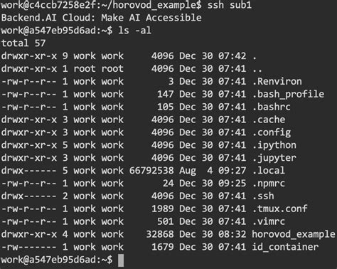 backend ai cluster compute session — backend ai web ui user guide 24 03