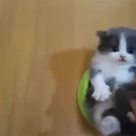 Its So Tiny Scrolller