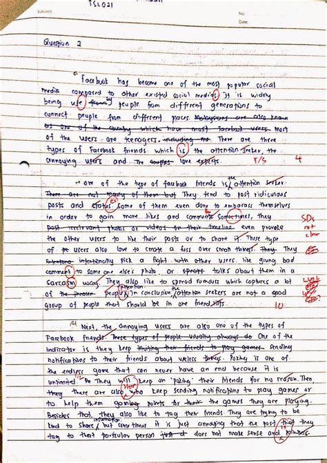 Essay Examples Classification Essay Examples