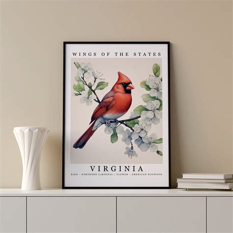 Virginia State Bird Northern Cardinal And State Flower American