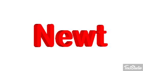 Newt Name Animated GIF Logo Designs